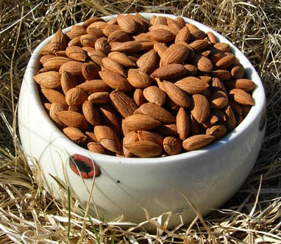 Hunza History: The Original Hunza Summer Diet of Hunza People